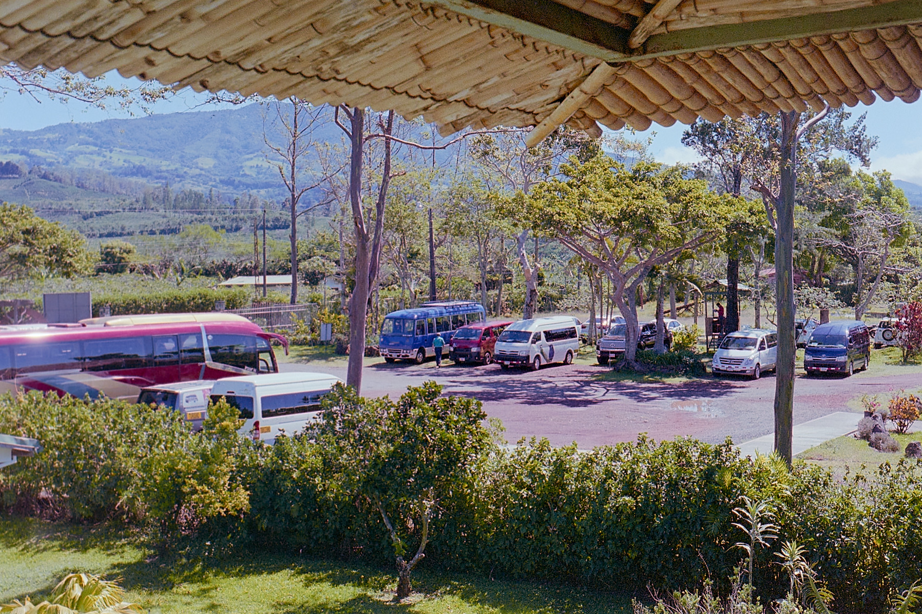 Doka Estate Sabanilla, Costa Rica 2018 – James Cockroft